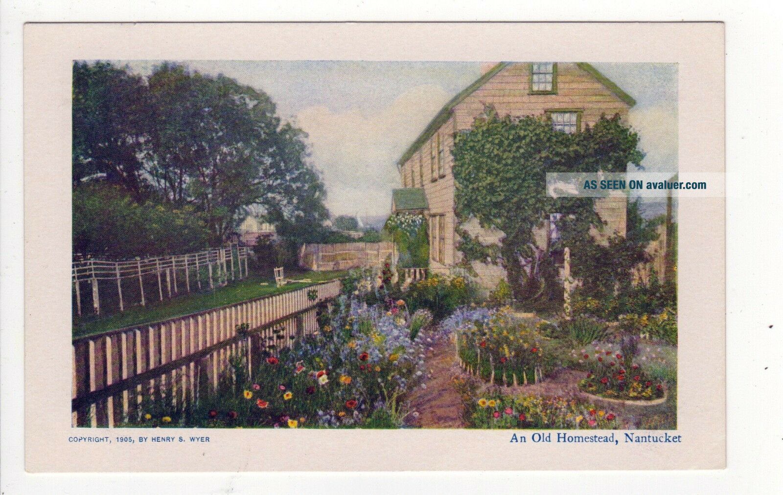 NANTUCKET ISLAND Massachusetts PC Postcard HENRY WYER An Old Homestead ...