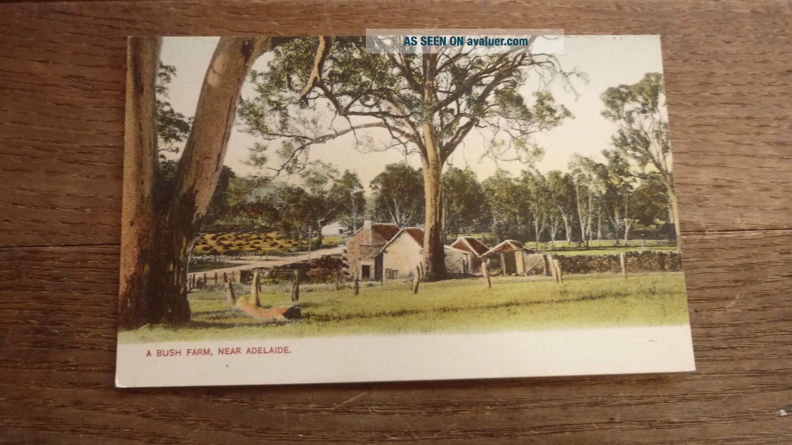 OLD AUSTRALIAN POSTCARD OF ADELAIDE SA, VIEW OF THE BUSH FARM C1900 ...