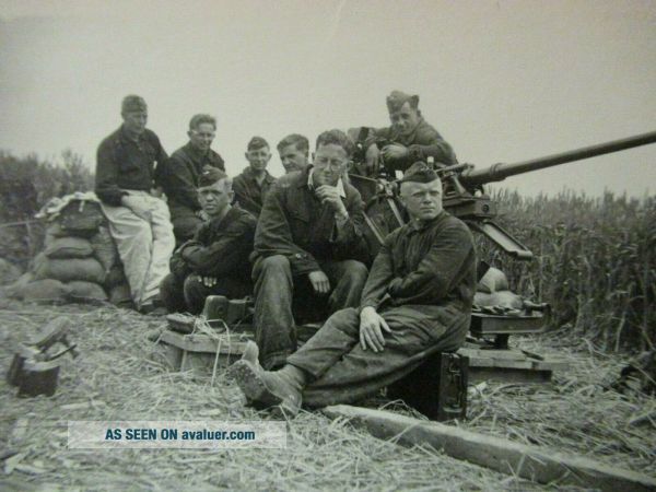 WWII German Photo Combat Soldiers With 2cm In Field | #25501863