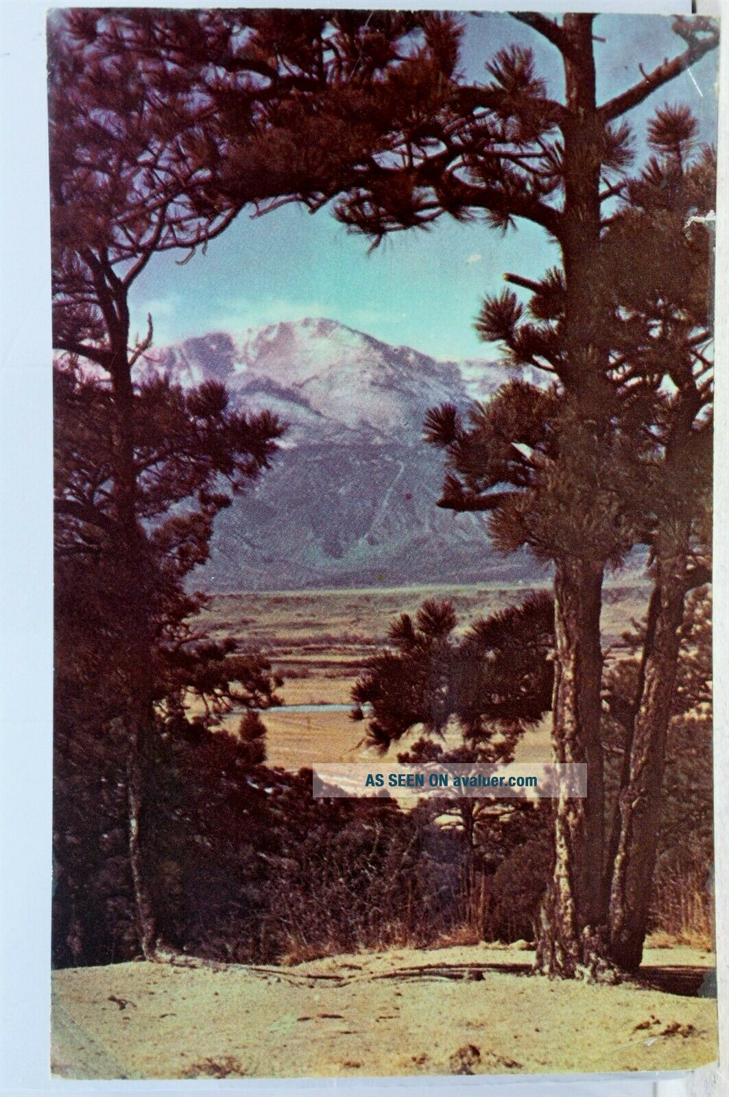 Colorado Springs CO Pikes Peak Pines Postcard Old Vintage Card View ...