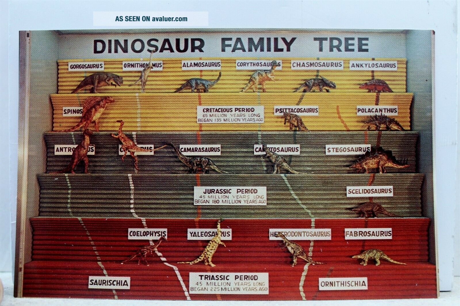Utah UT Dinosaur National Monument Family Tree Postcard Old Vintage ...