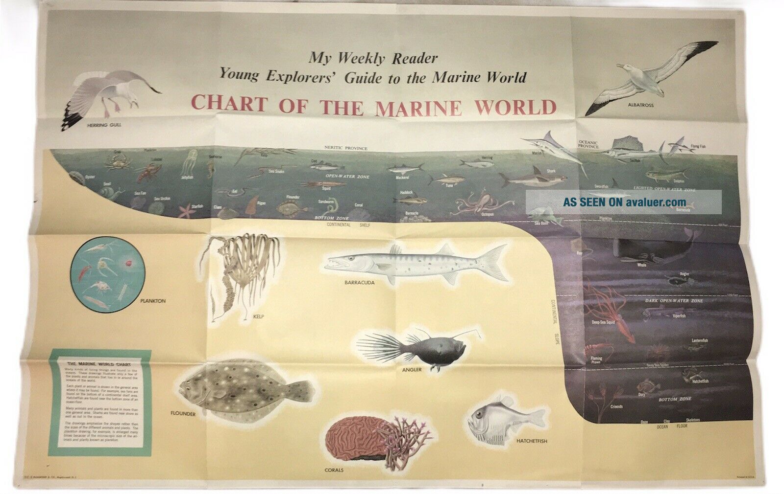 Chart Of The Marine World And Map Of The Ocean Floor Vintage Classroom ...