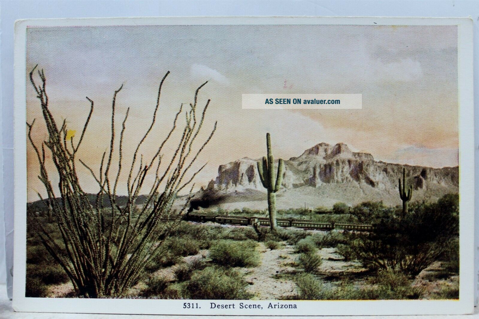 Arizona AZ Desert Postcard Old Vintage Card View Standard Souvenir ...