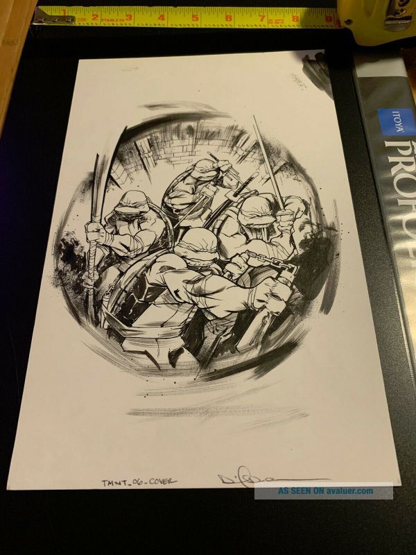 IDW Teenage Mutant Ninja Turtles 6 Cover Art By Dan Duncan TMNT Team ...