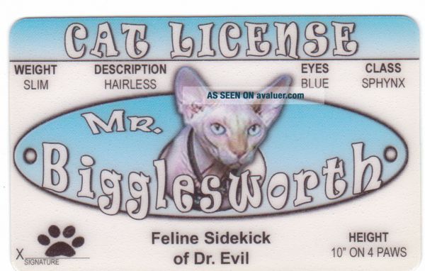 Mr Bigglesworth Feline Sidekick Cat Of Austin Powers Mike Myers Drivers ...