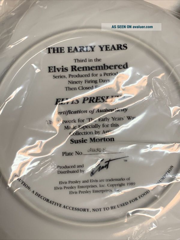 Elvis Presley ”THE EARLY YEARS " Collector Plate By Susie Morton ...