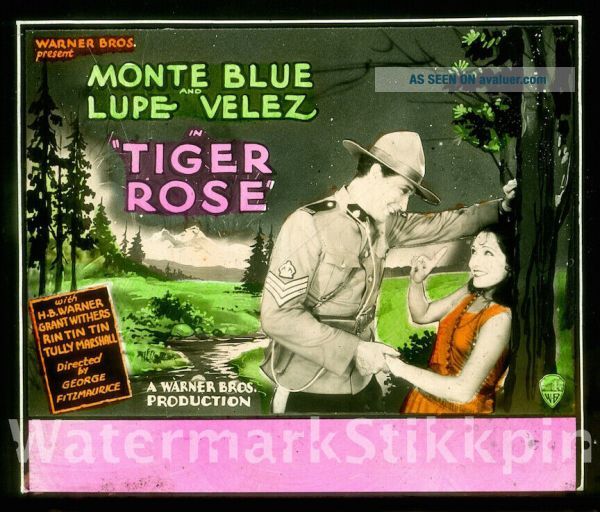 1929 Glass Slide MOVIE Monte Blue TIGER ROSE Lupe VELEZ Rin Tin Tin DOG ...