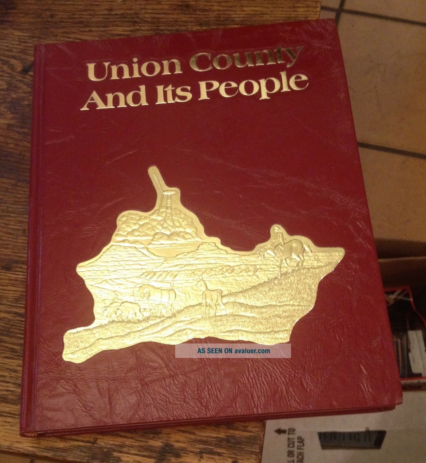 UNION COUNTY And Its People 1980 First MEXICO HISTORY Rare US | #58549094